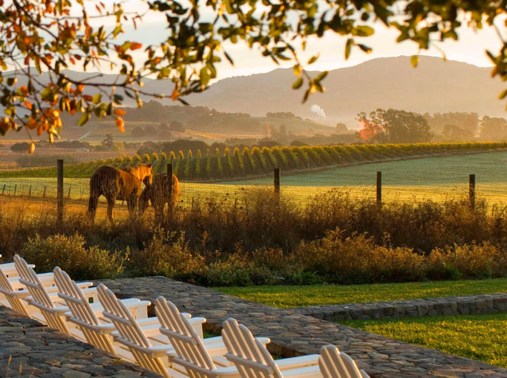 Napa Valley Experience, California - Golf Event Management
